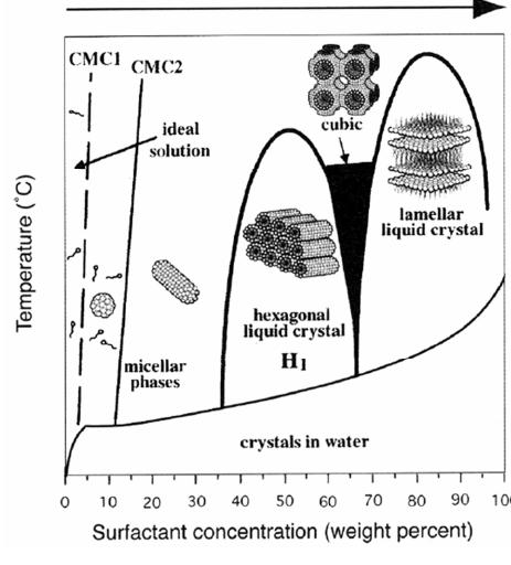 4; schematic phase diagram for ctab in water". the
