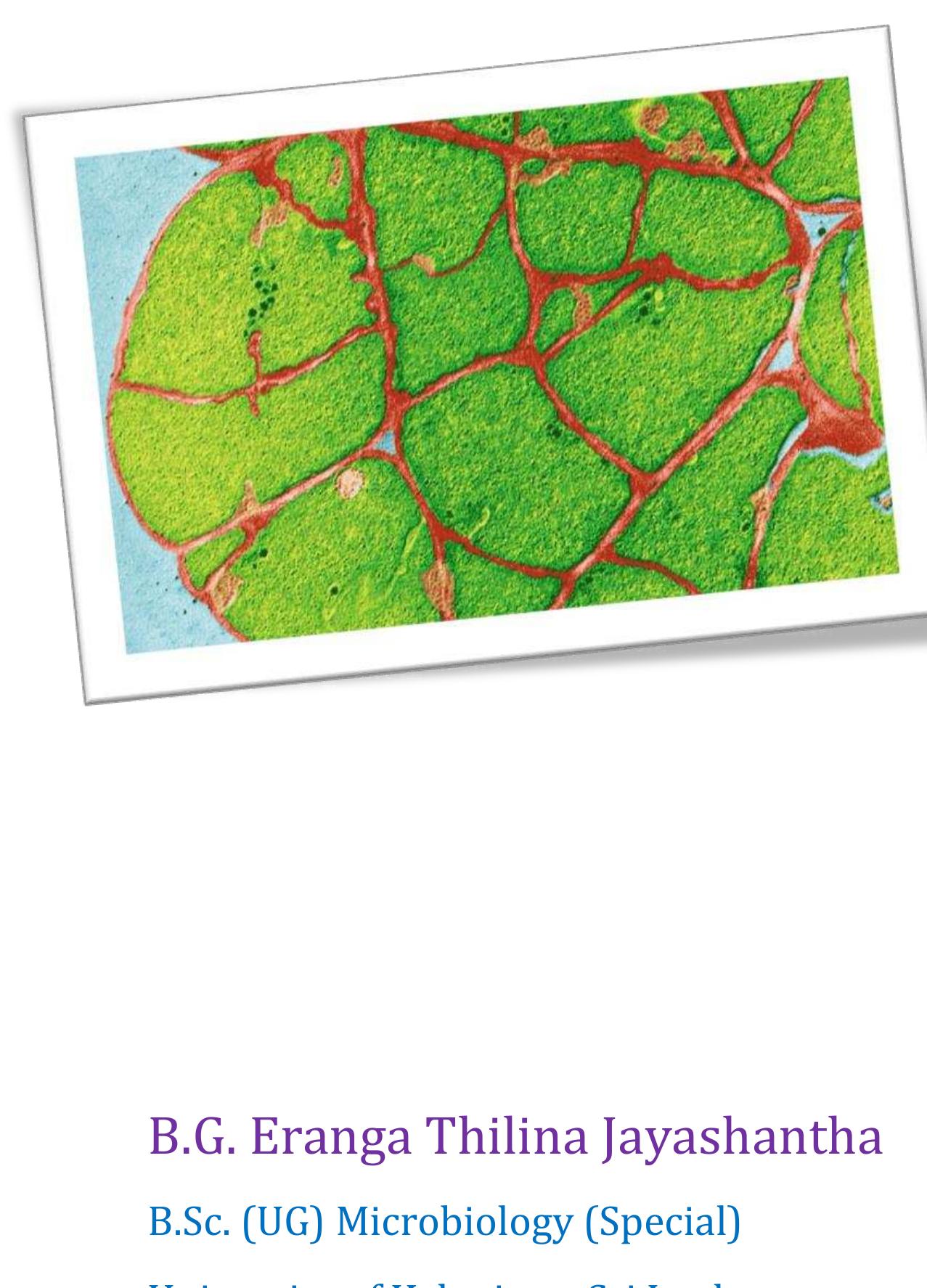 Figure 2 - Domain Archaea - Morphology, Physiology,