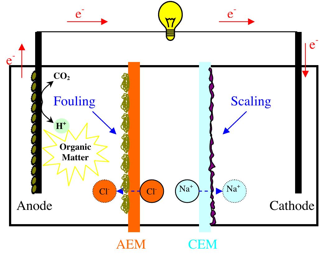 Schematic diagram of a microbial desalination cell and