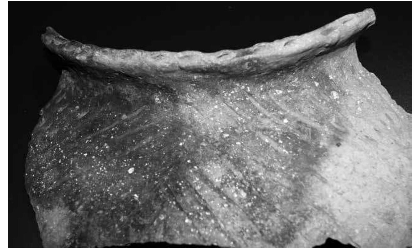 Oneota pottery from the utz site. photo courtesy of van