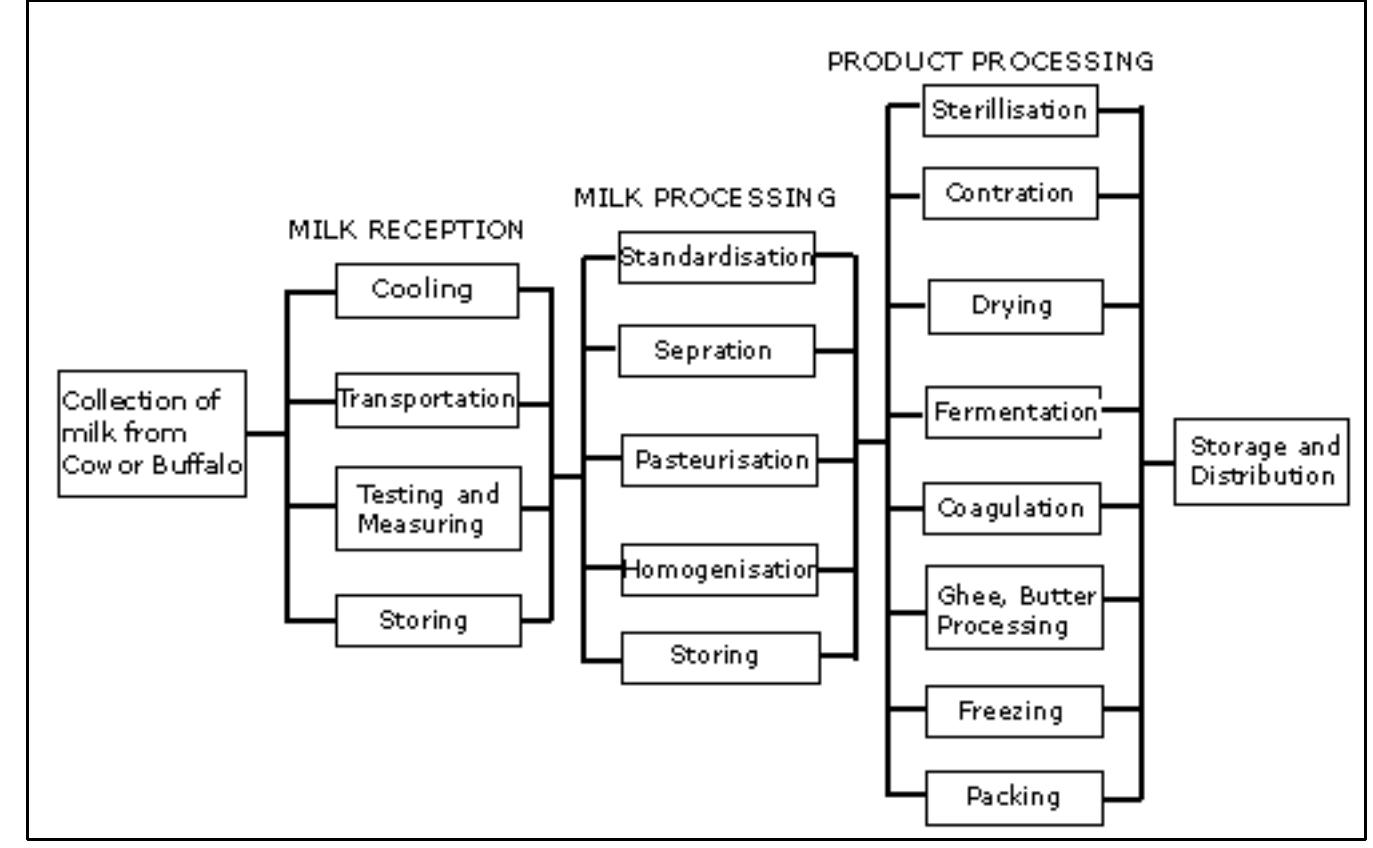 A sample process flow diagram for a milk processing plant.