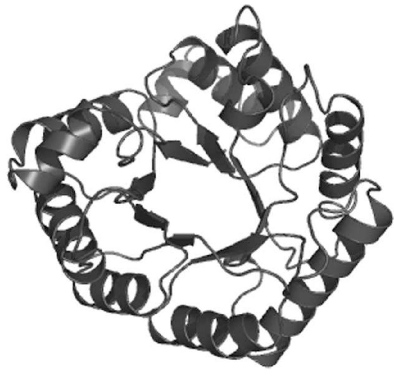 A ribbon diagram of a tim barrel. note the circular