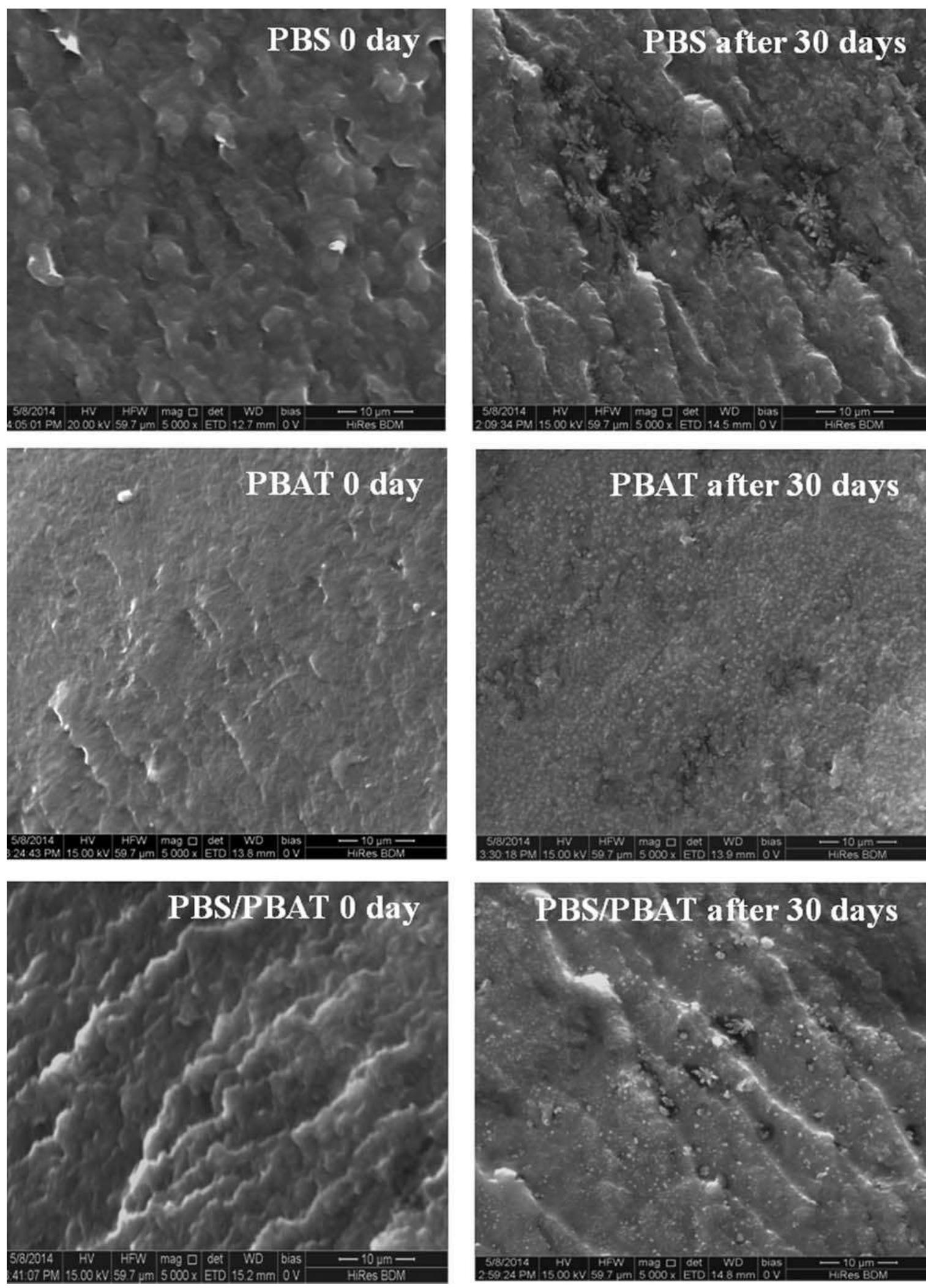 Sem micrographs of pbs, pbat, and pbs/pbat before and after