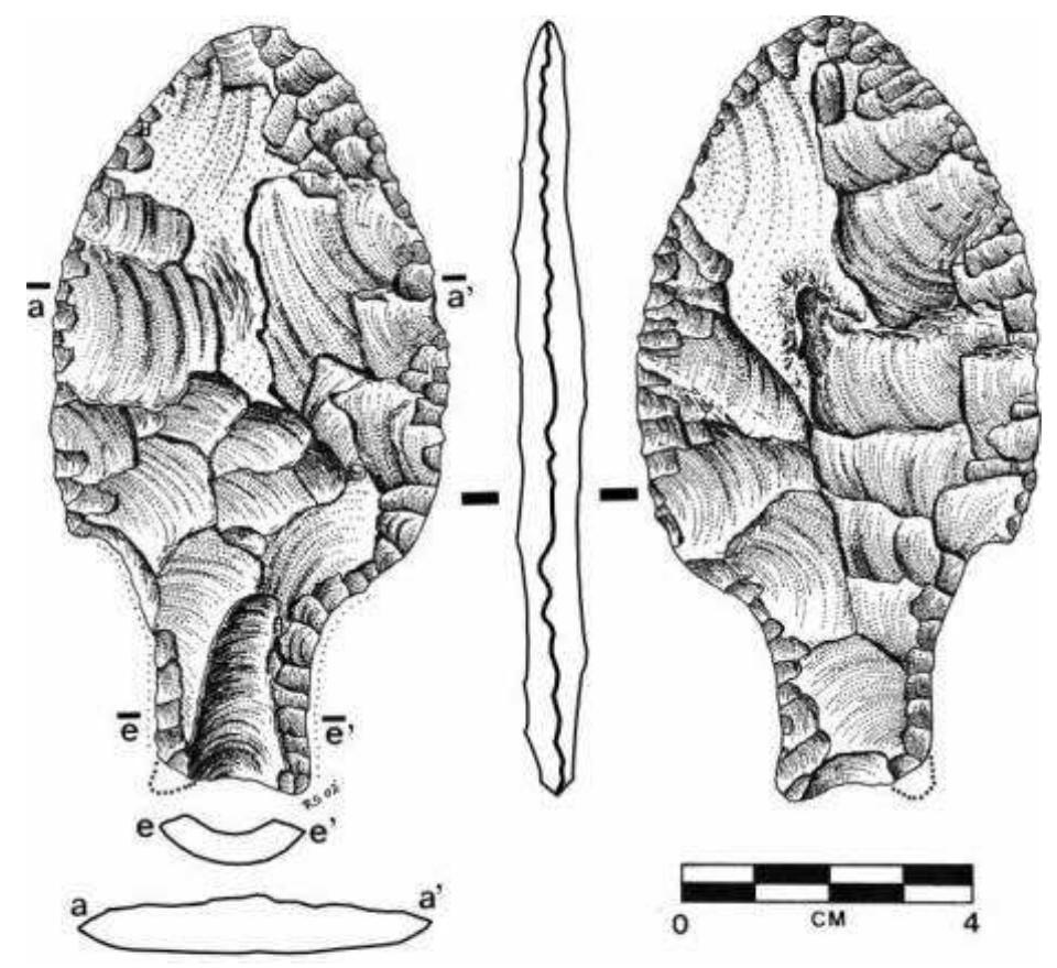 Fluted fishtail point from pay paso 1 (fine-grained