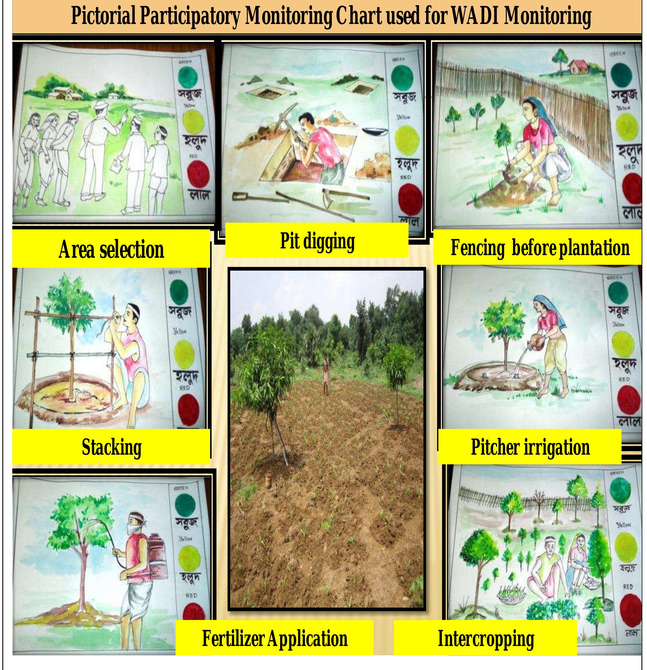 Figure 13 - Project Completion Report-Wadi Project,