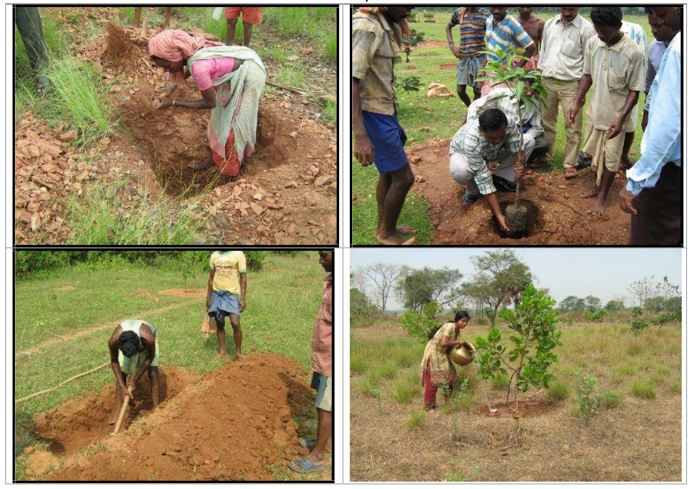 Figure 15 - Project Completion Report-Wadi Project,