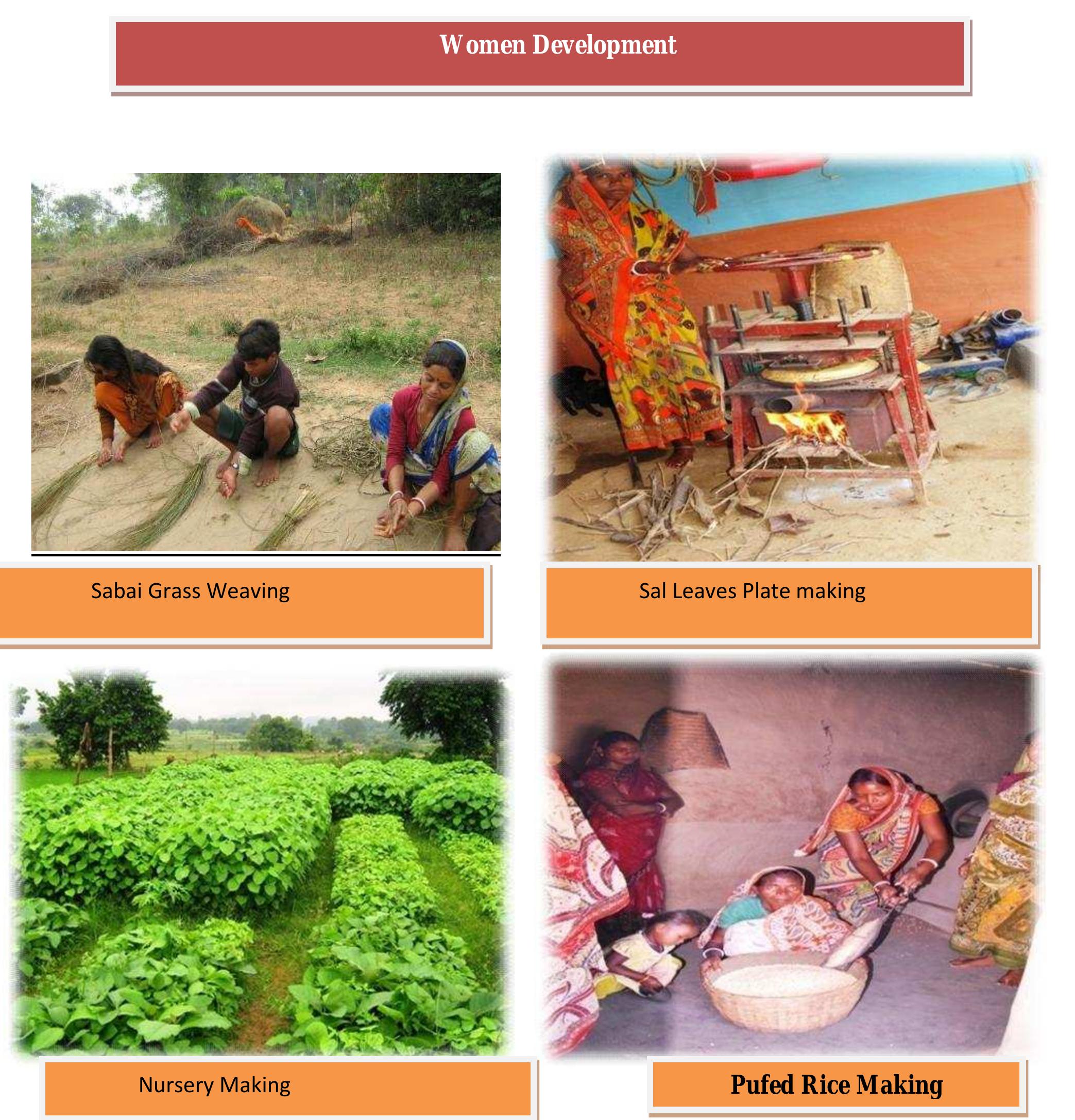 Figure 29 - Project Completion Report-Wadi Project,