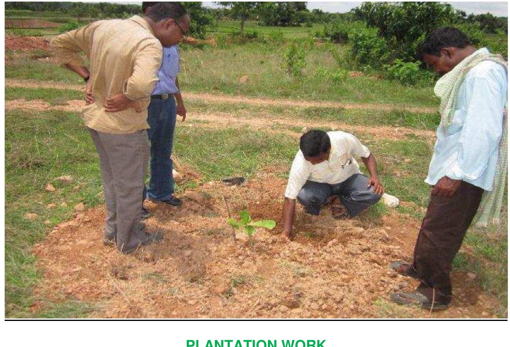 Figure 33 - Project Completion Report-Wadi Project,