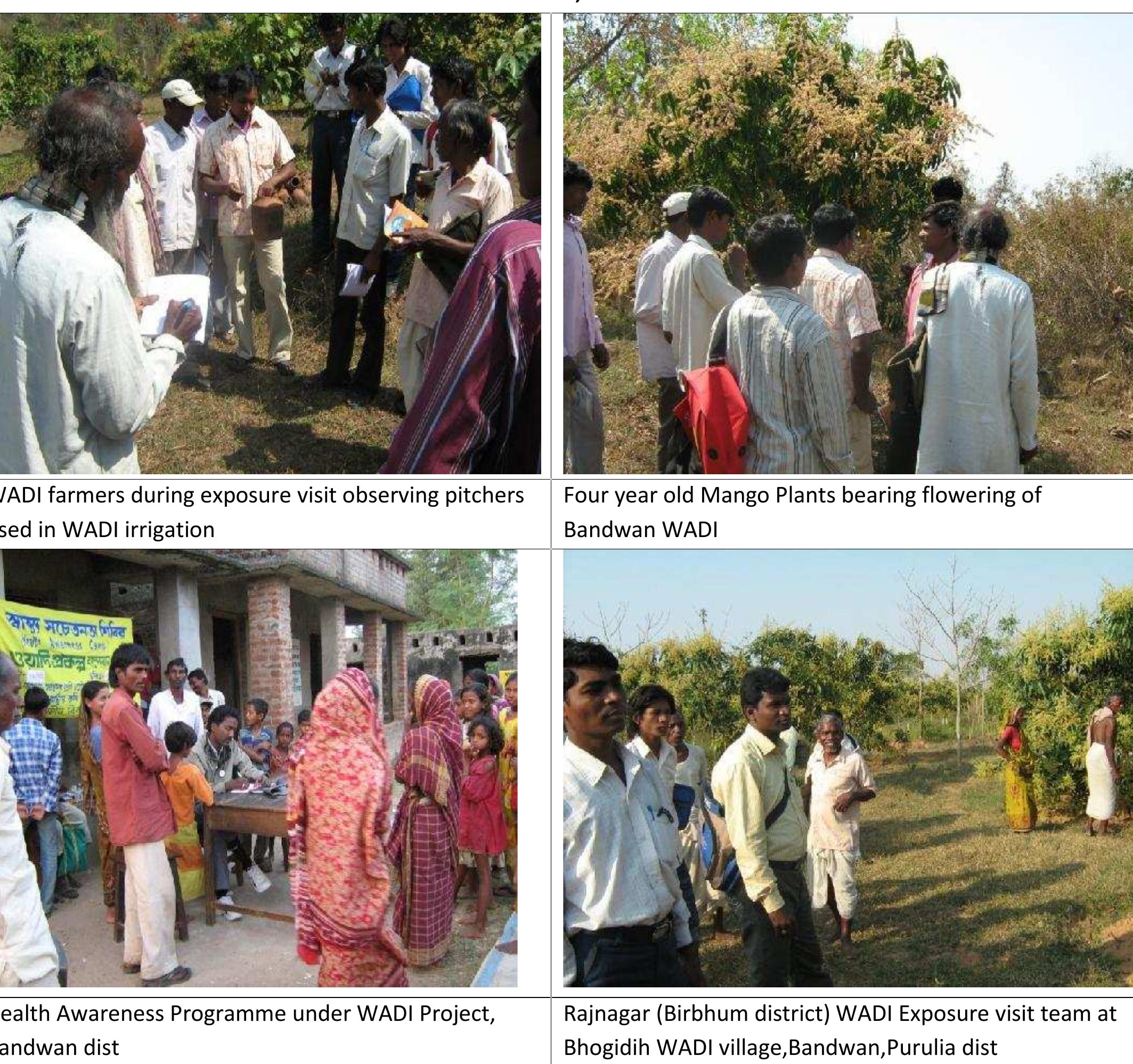 Figure 48 - Project Completion Report-Wadi Project,