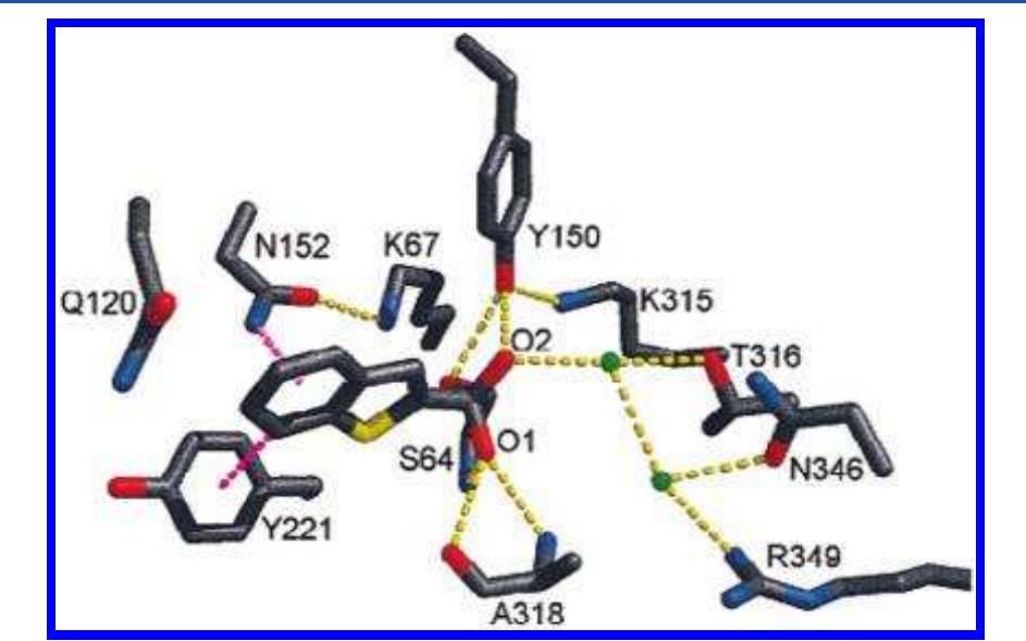 Key interactions observed in the structure of bzbth2b in