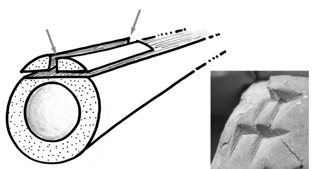 (PDF) The Cuneiform Stylus