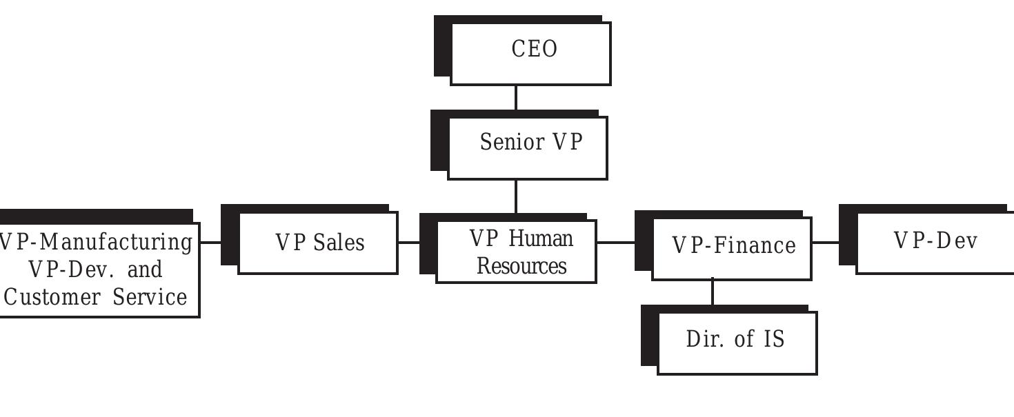 Top-level organizational chart for the corporation