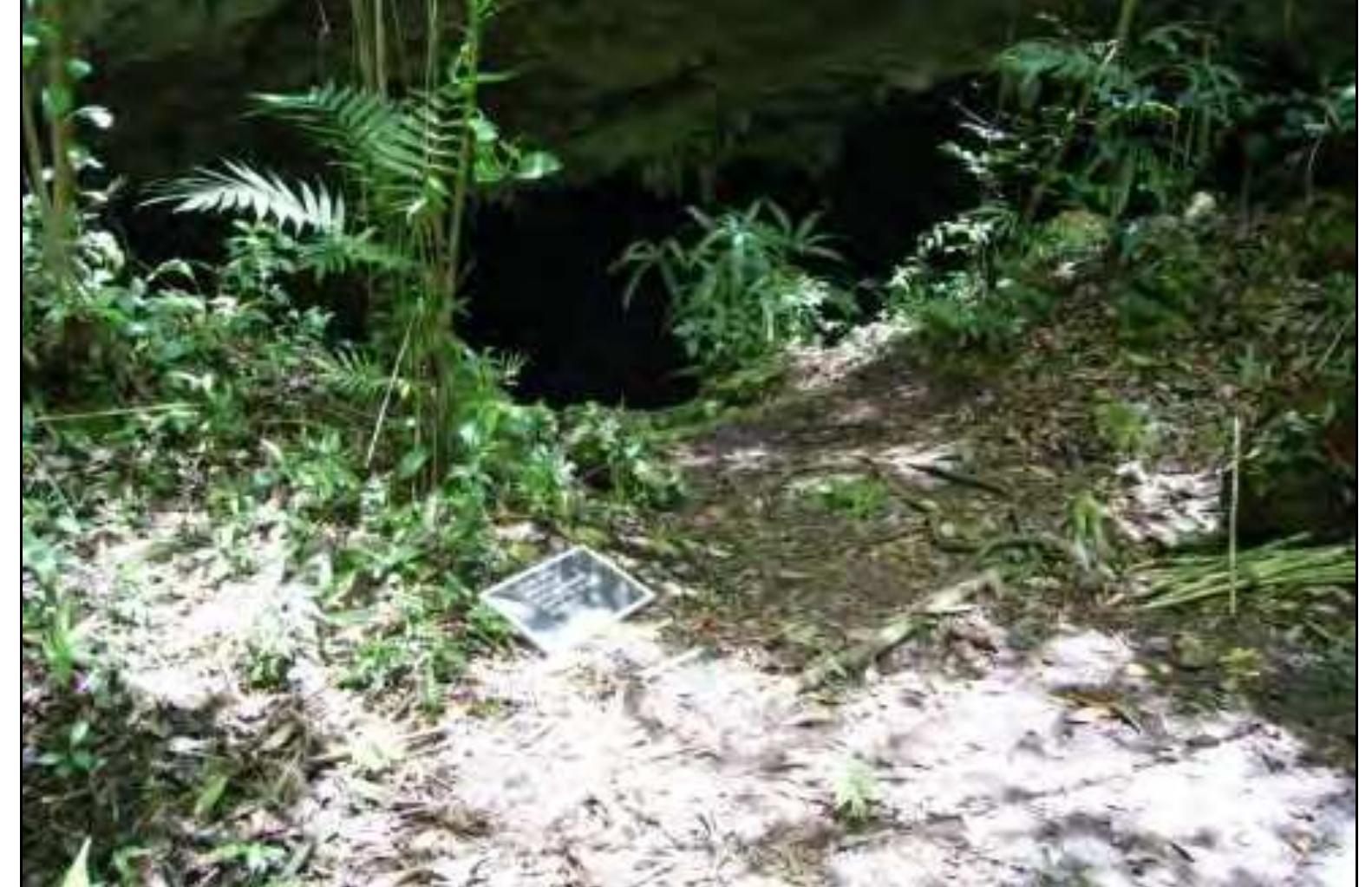 15 - context photo showing the modern path and entrance to
