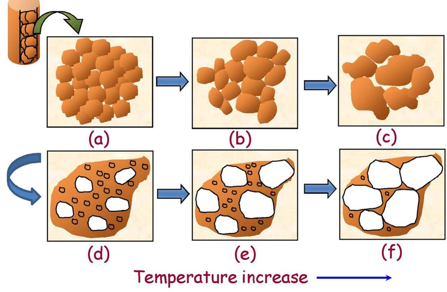 Schematic diagram showing foaming mechanism.