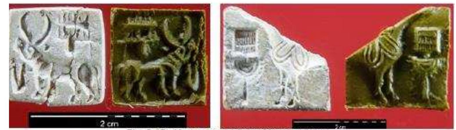 17: harappan seals and impressions fig. 8.16: harappan seals