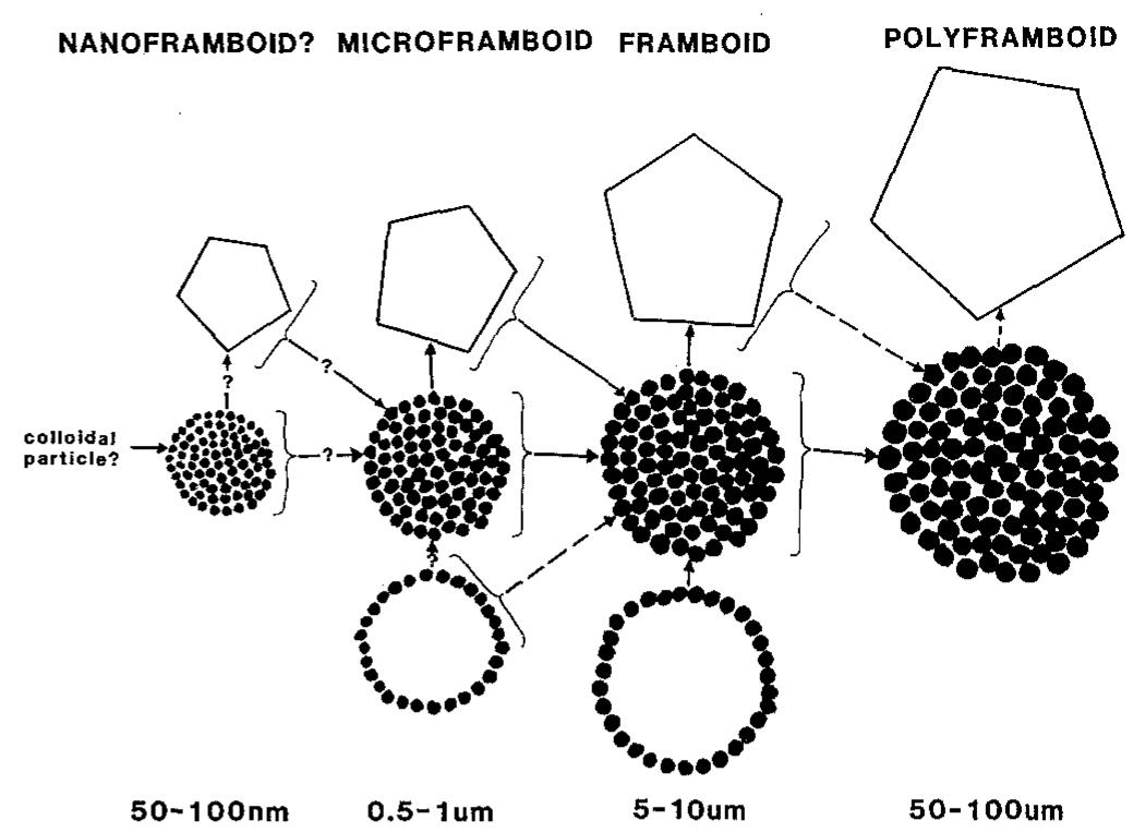 Figure 4 - from Pyrite framboids and their development: a