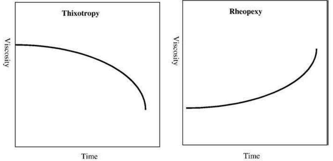 Thixotropy and rheopexy profiles (viscosity vs. time)