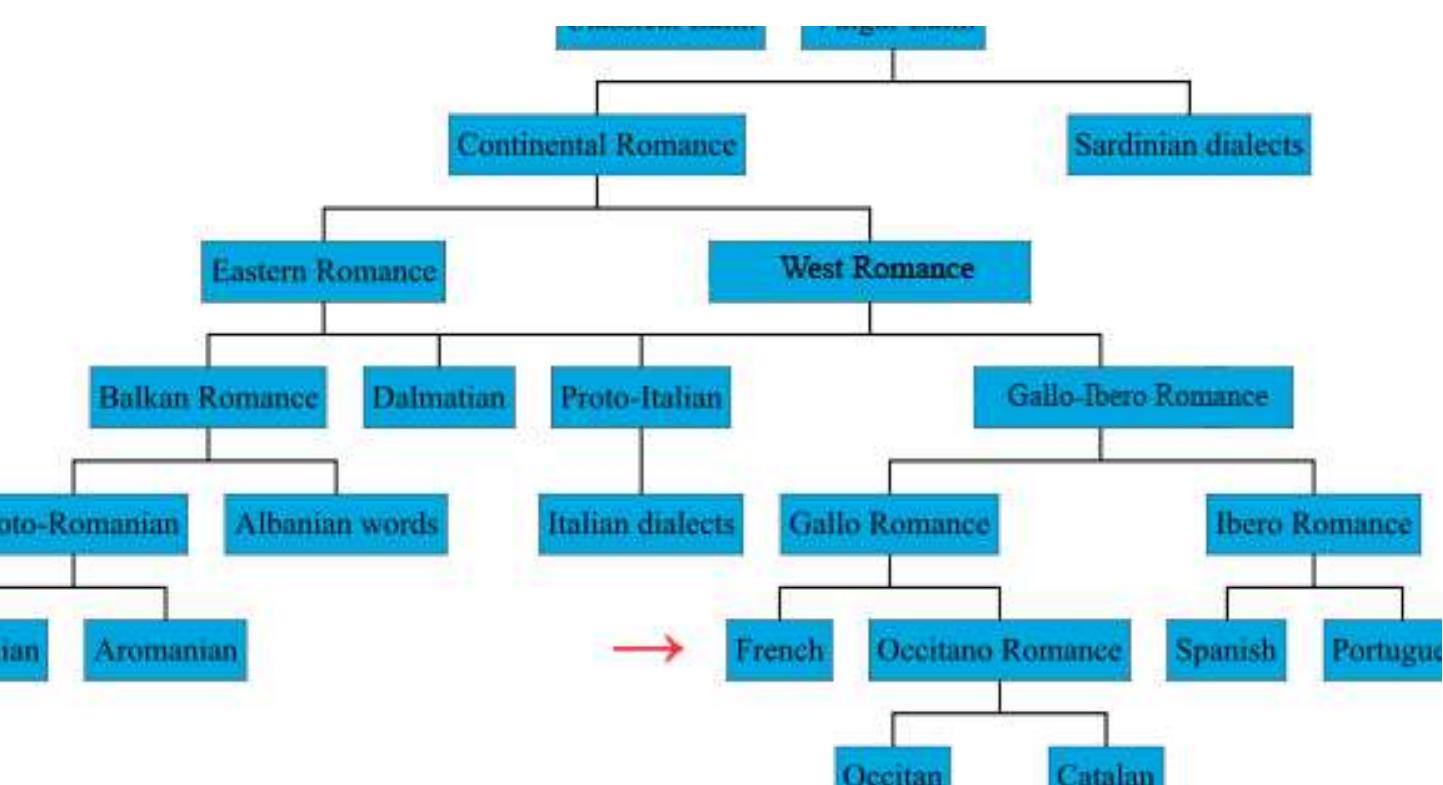 Figure 41 - from Proto-Romance Phonology