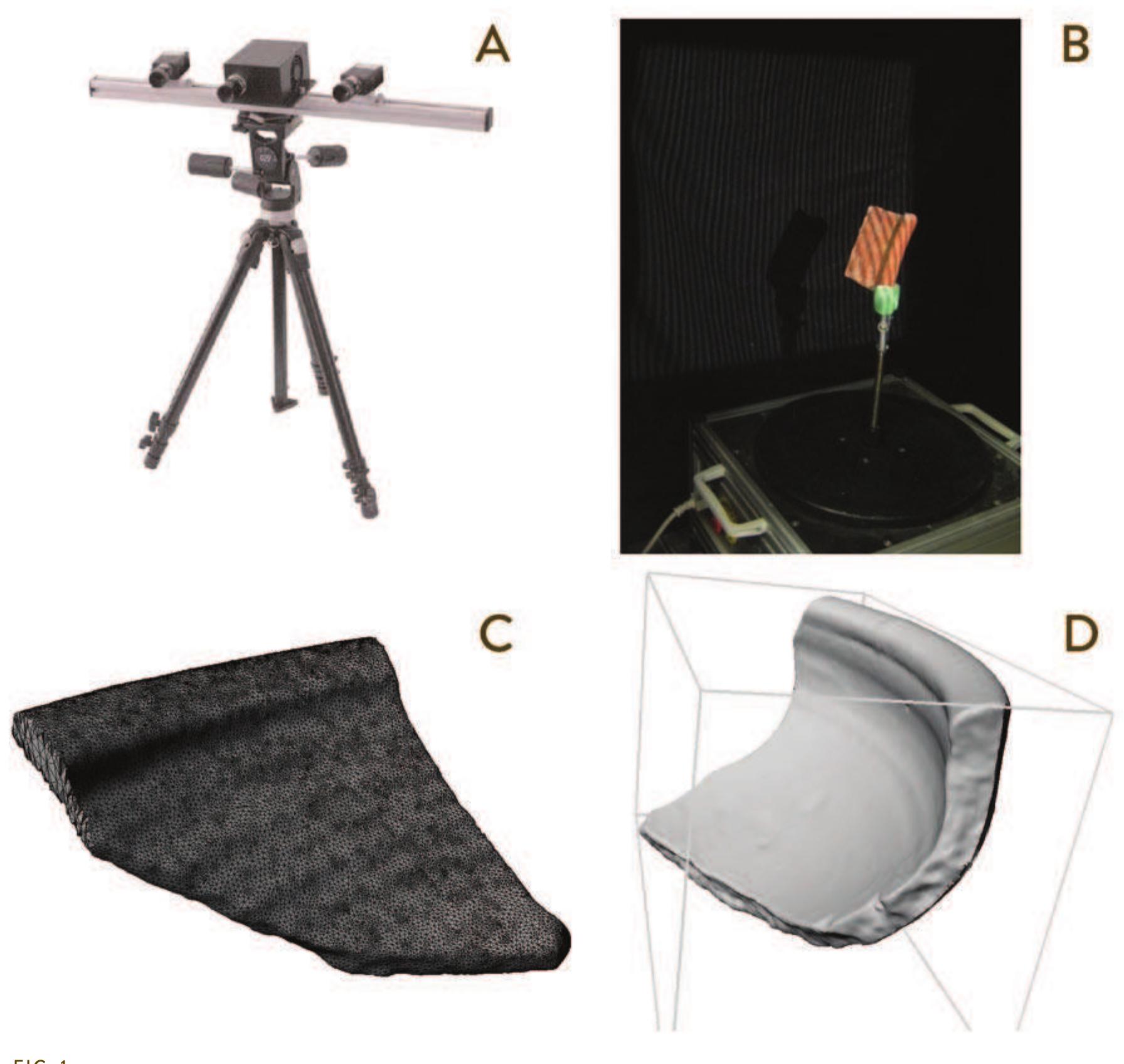 The four stages of 3d scanning: (a) the scanner consisting