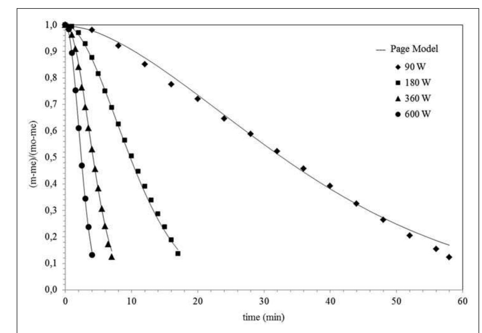 Drying curves based on the page model.