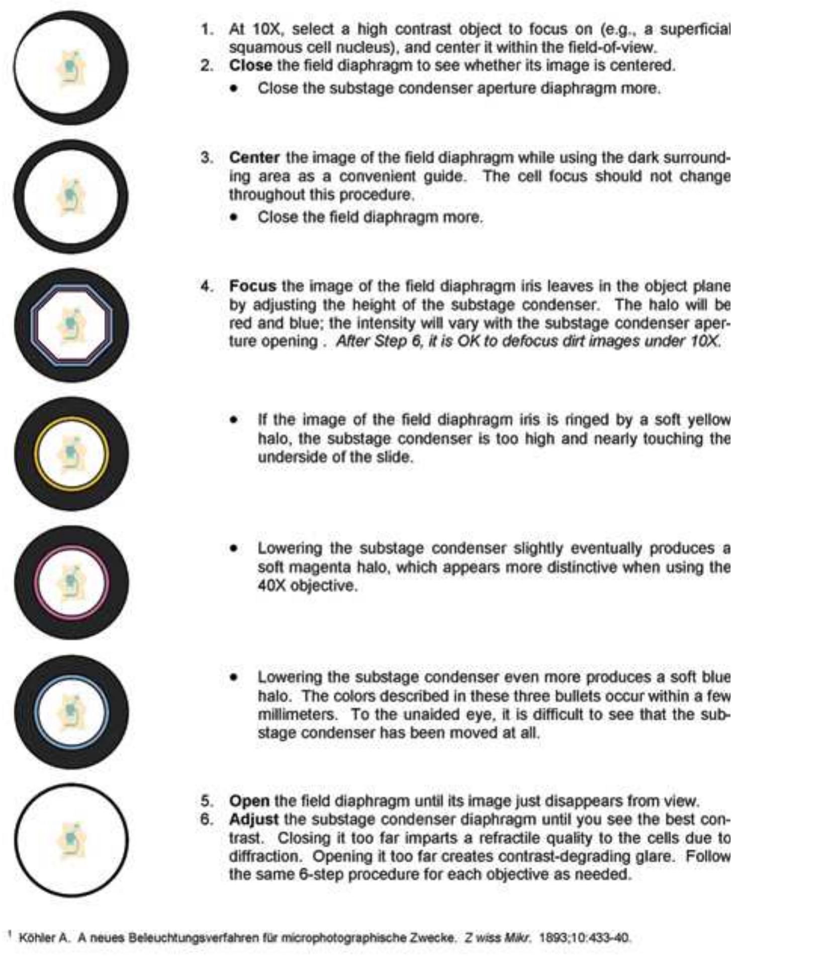 Kohler illumination. reproduced with permission from: gill,