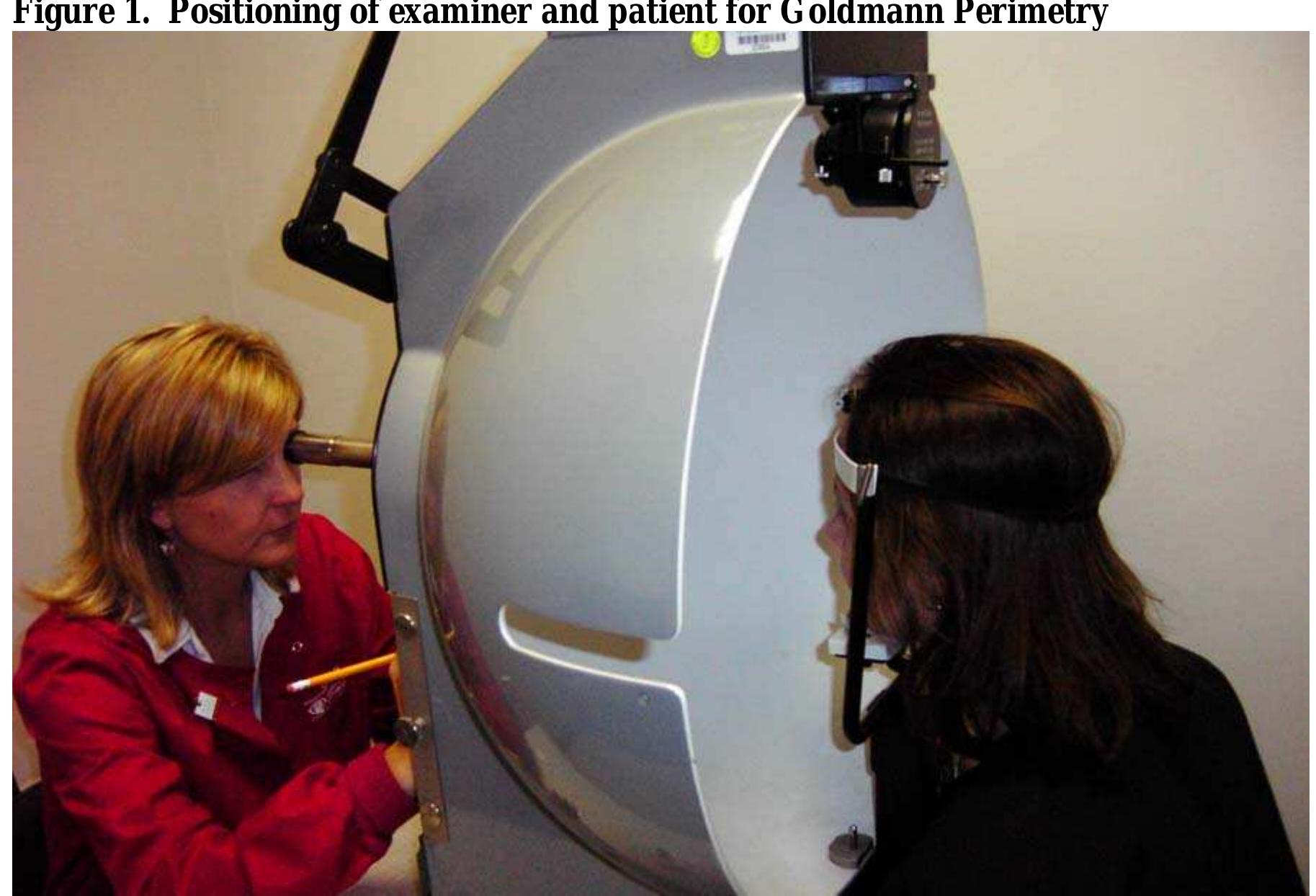 (PDF) Understanding Visual Fields: Goldmann Perimetry