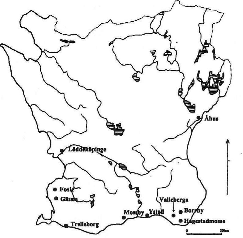 Figure 4 - from The Slavonic Feldberg and Fresendorf Pottery