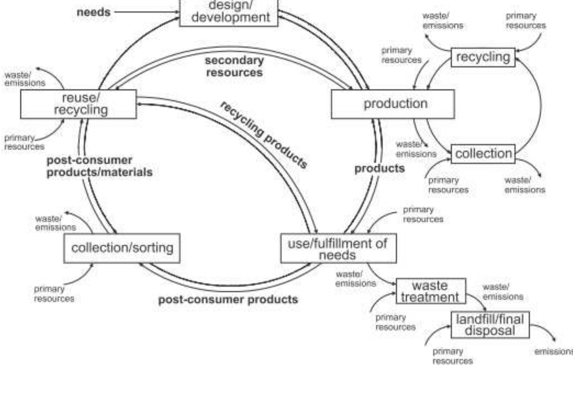 Schematic representation of a generic life cycle of a