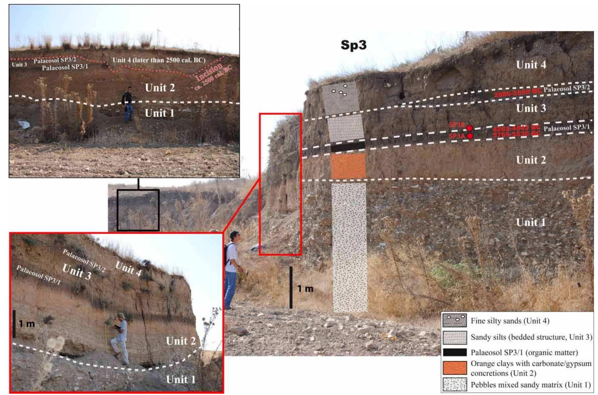 The sp3 profile showing the sp3/1 and sp3/2 palaeosols.