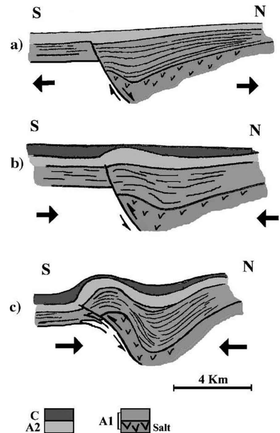 Schematic reconstructed cross-sections of the z antiform. a)