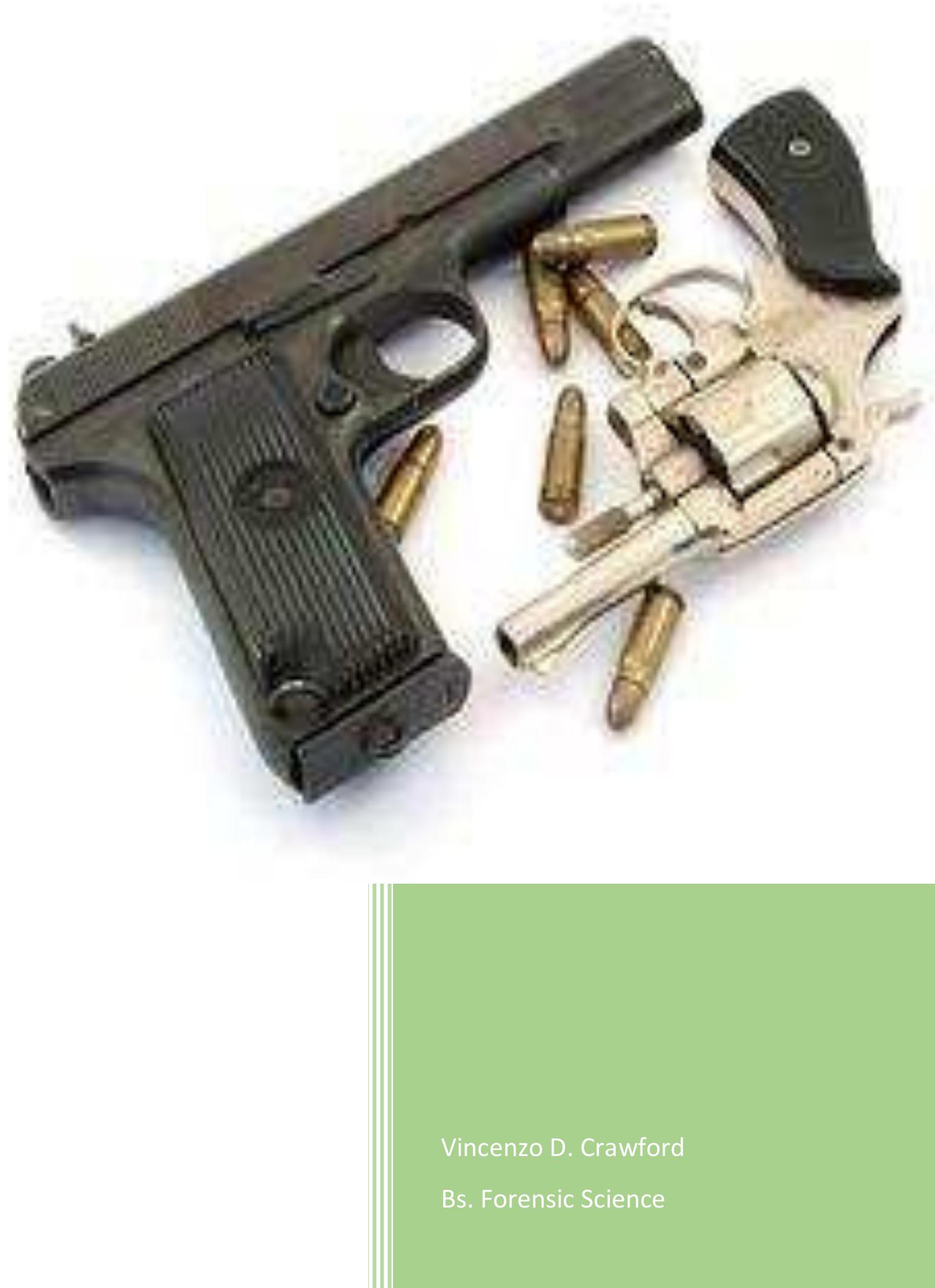 Figure 1 - Types of Bullets (Bullet Designs), Recoil