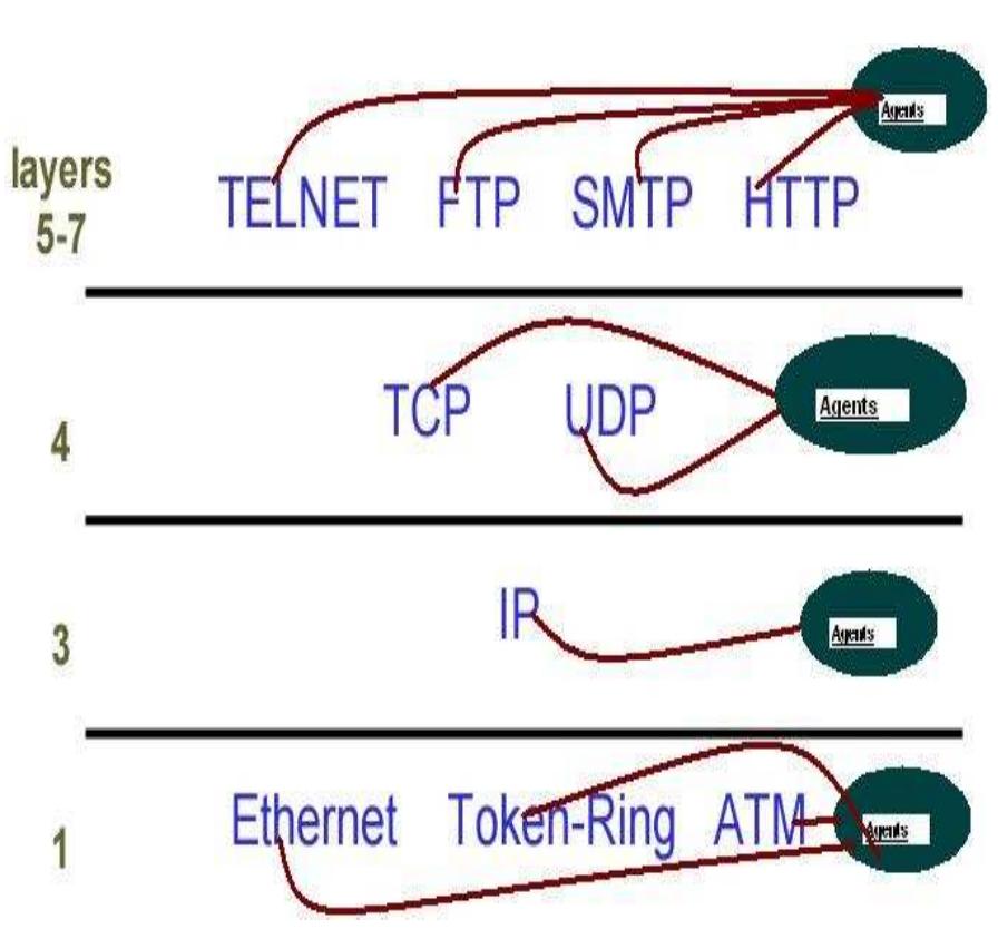 Osi reference model and tcp/ip services. further the figure
