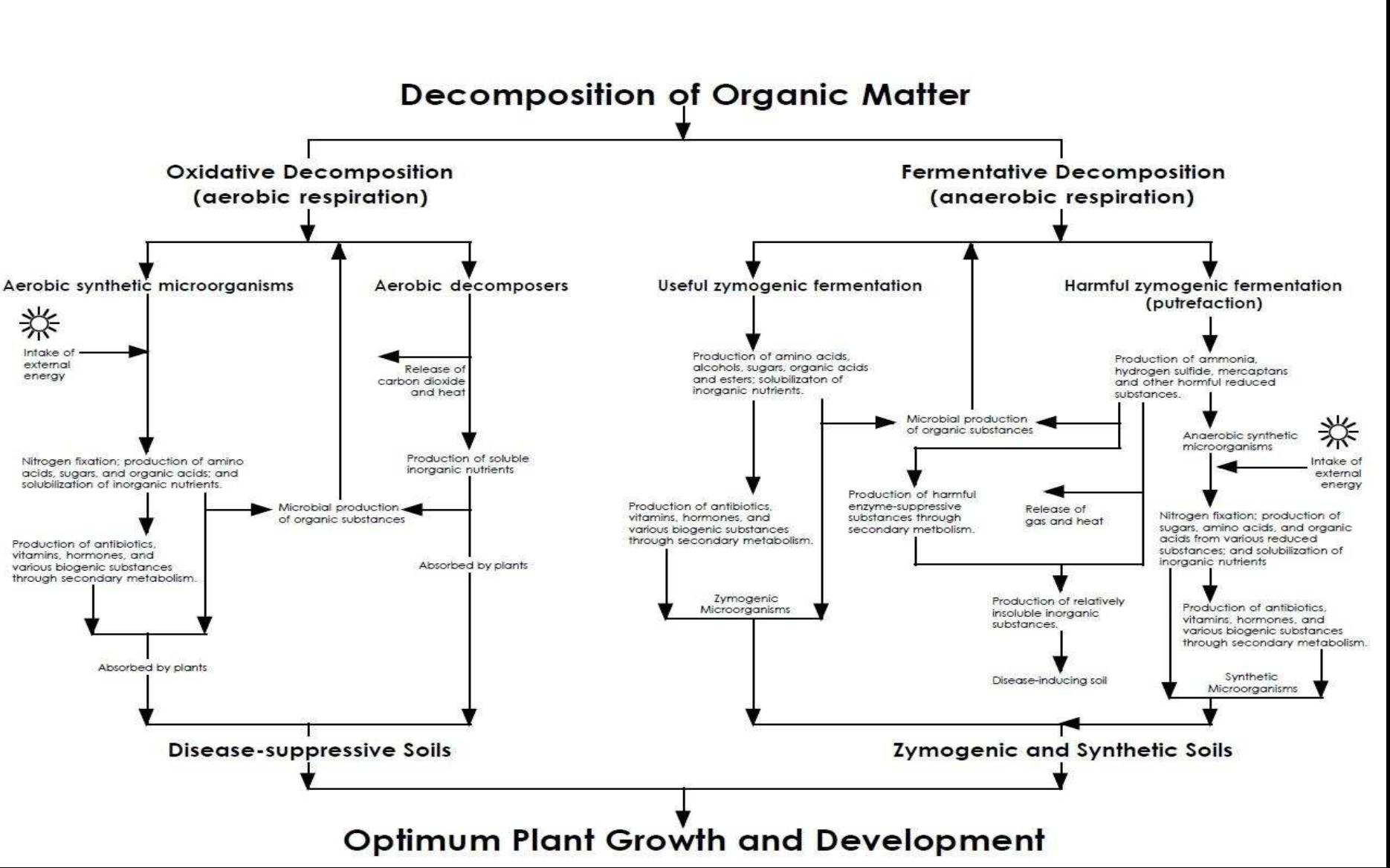 Flow chart of the organic matter transformations by soil