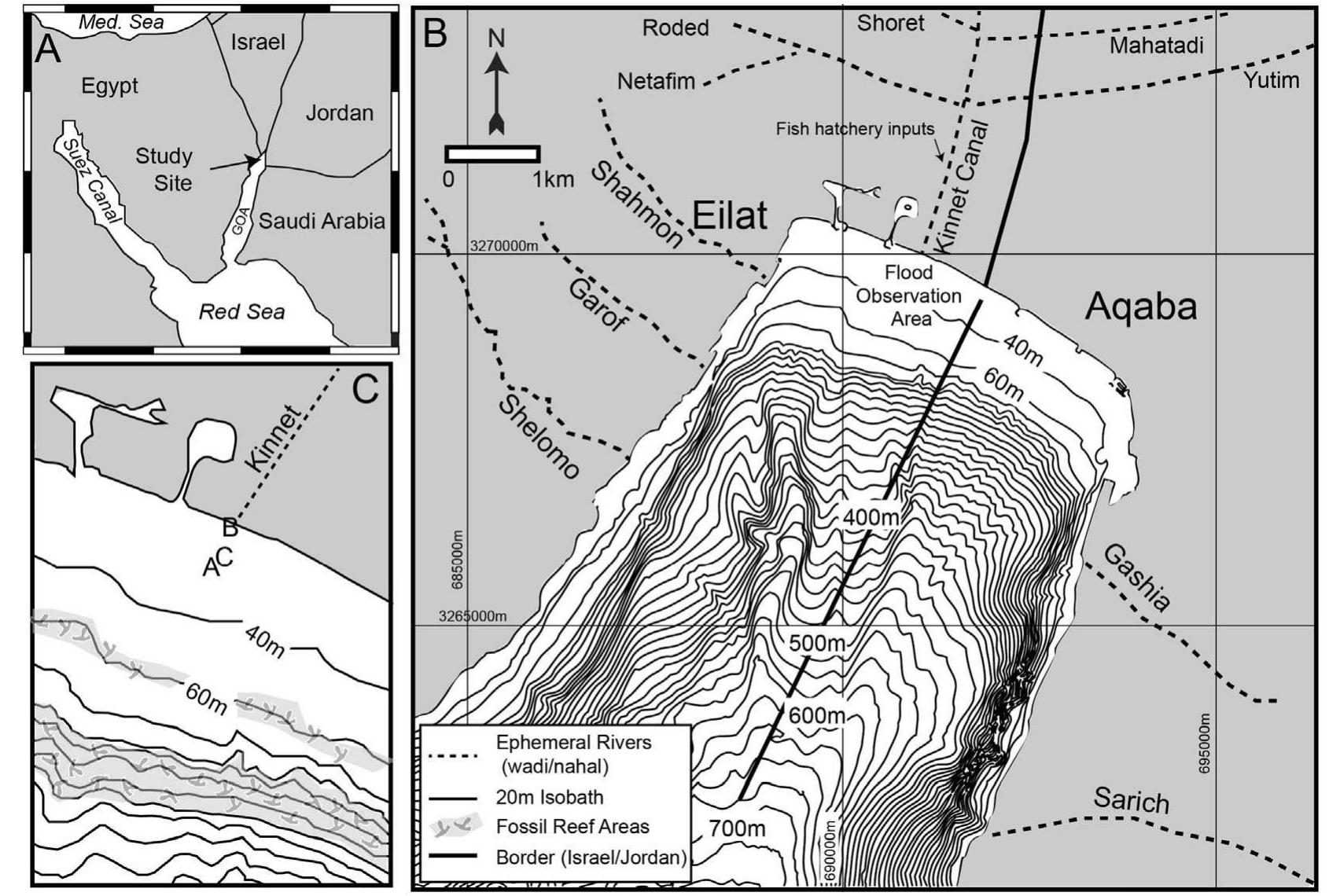 Maps of the head of the gulf of aqaba (goa). (a) regional