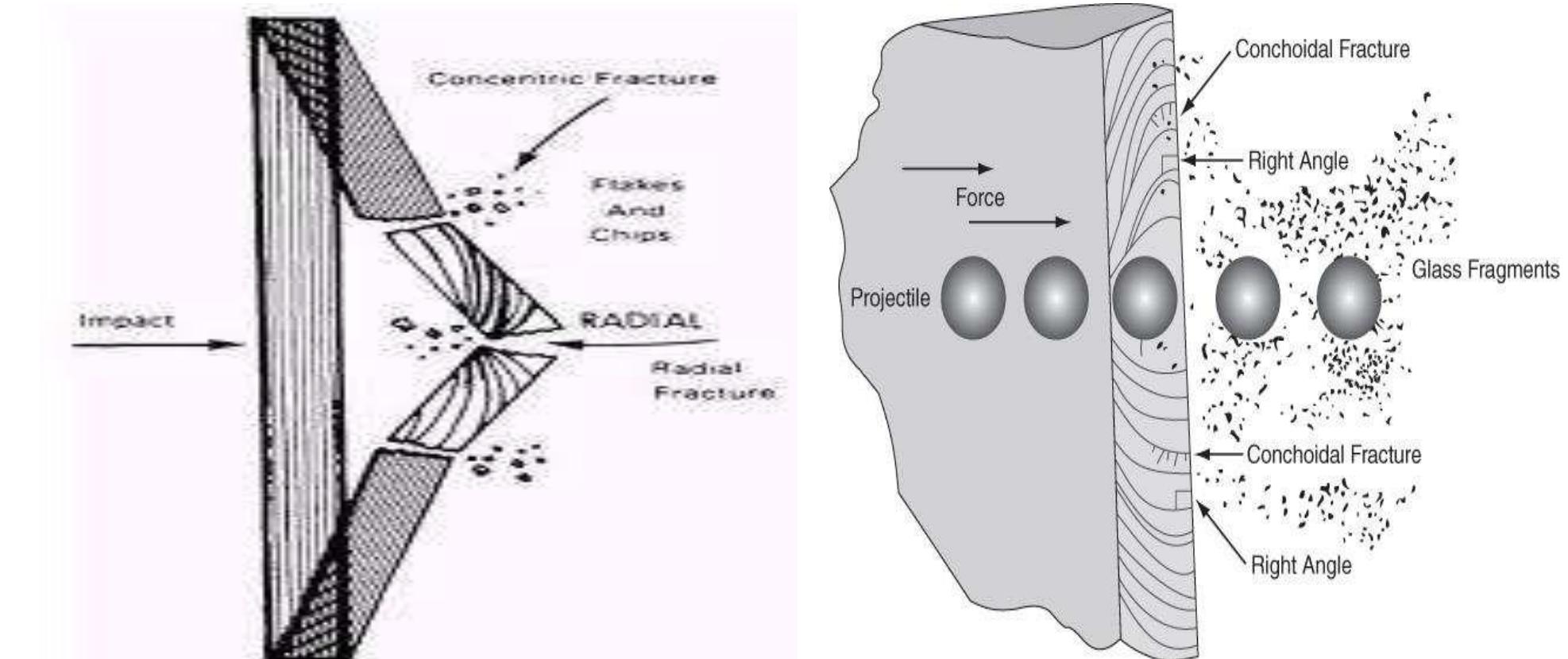 (PDF) Analysis of Glass Evidence - Types of Glass, How To Determine The ...