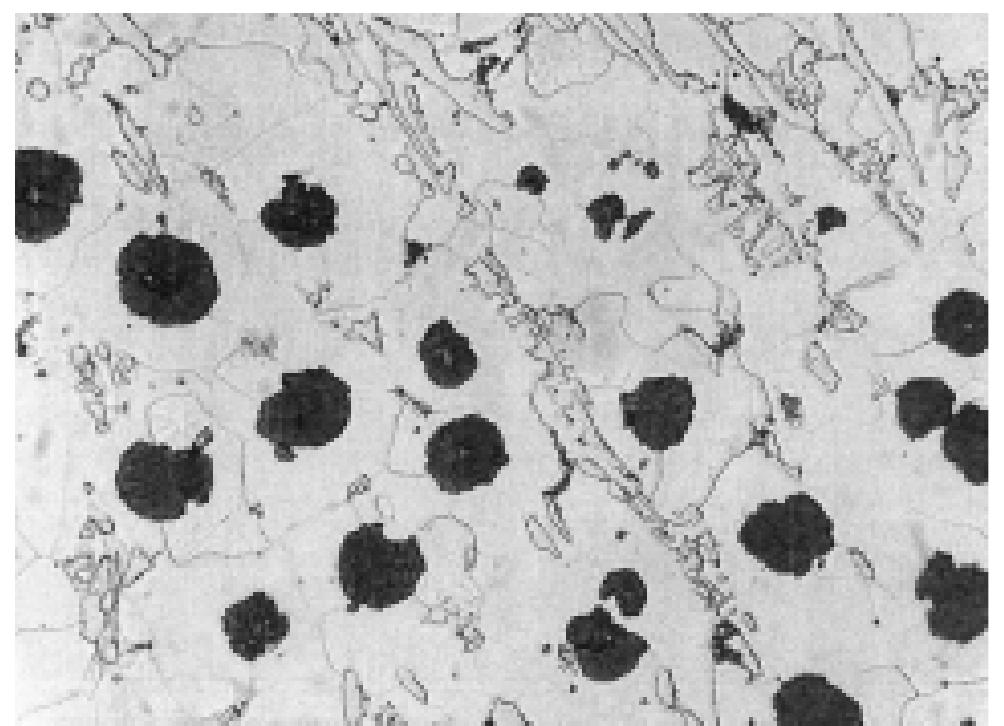 Ductile iron photomicrograph with a ferritic matrix