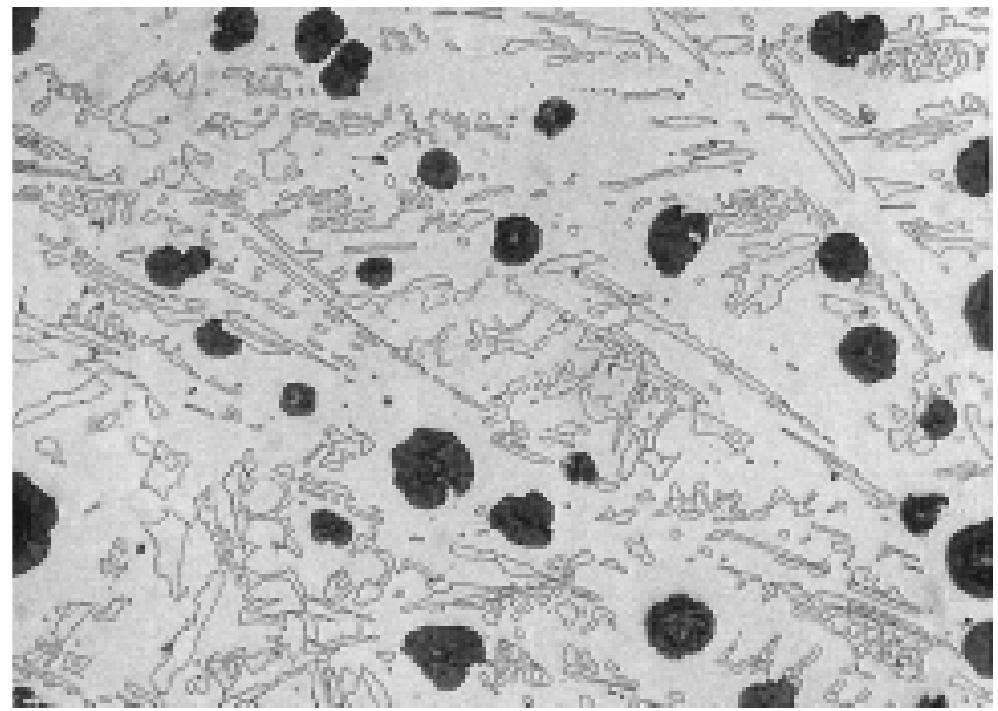 Figure 9 Cast Iron Microstructure Anomalies And Their