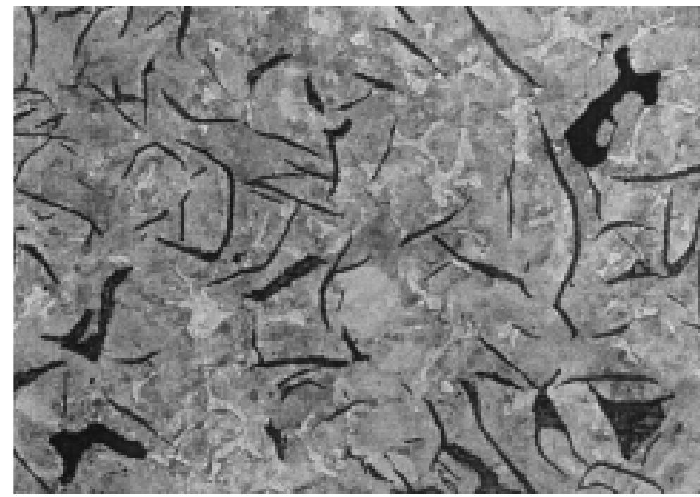 Photomicrograph showing presence of a “shrinkage” void in a