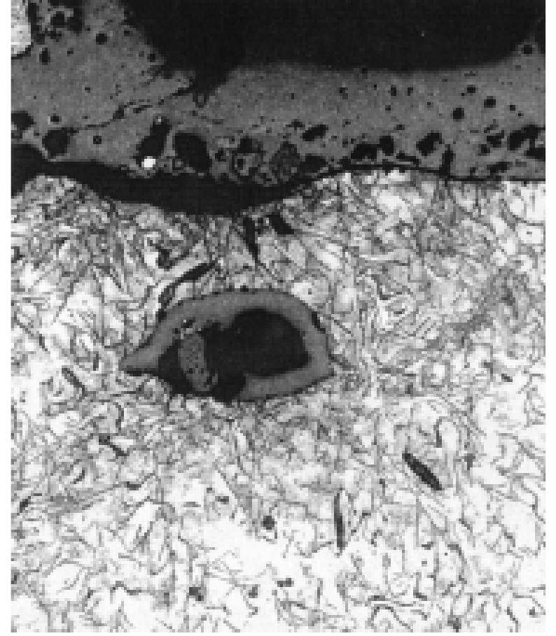 Photomicrograph showing a cross section where a filter