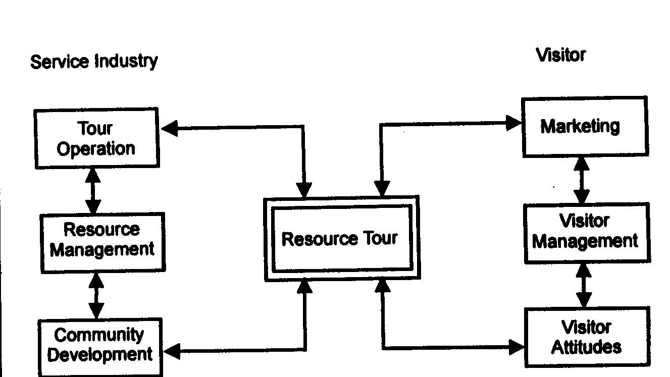 Fennel and eagle's (1990) conceptual framework for