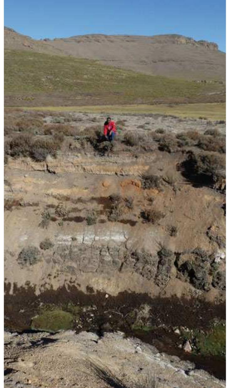 The Drakensberg escarpment: mountain processes at the edge