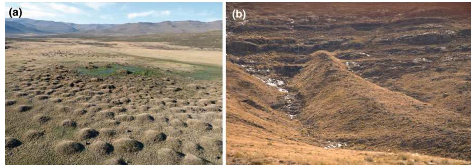 The Drakensberg escarpment: mountain processes at the edge
