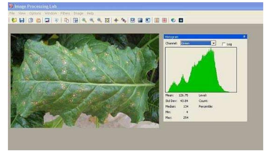 captures the scene and apply histogram filter here we