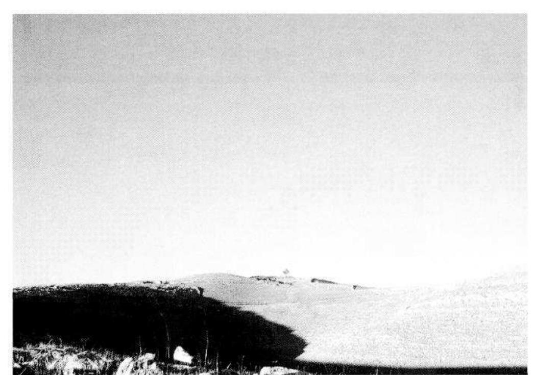 The mound of gibekli tepe from southwest. ture of the