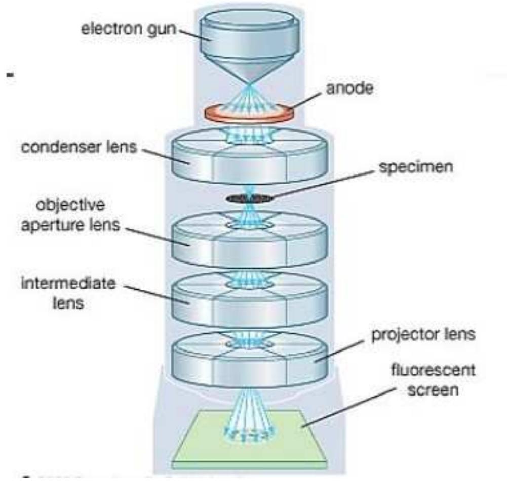 Figure 6 - CHARACTERIZATION OF NANO MATERIALS...