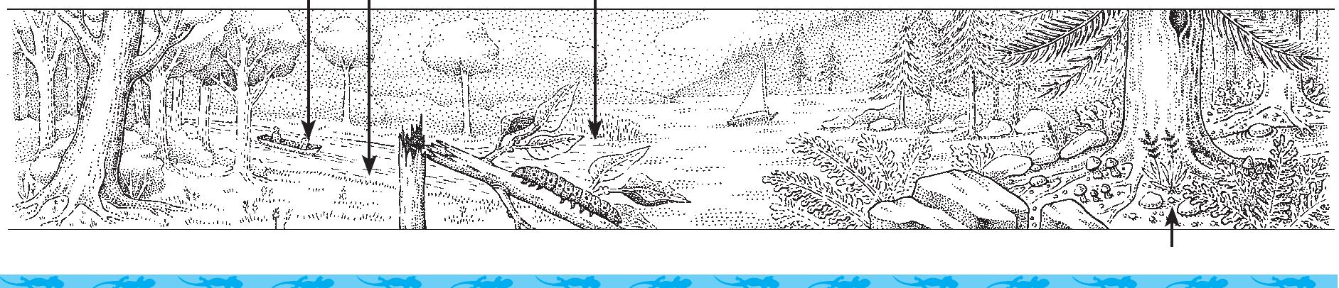 The reproductive capability of nematodes is prodigious: some