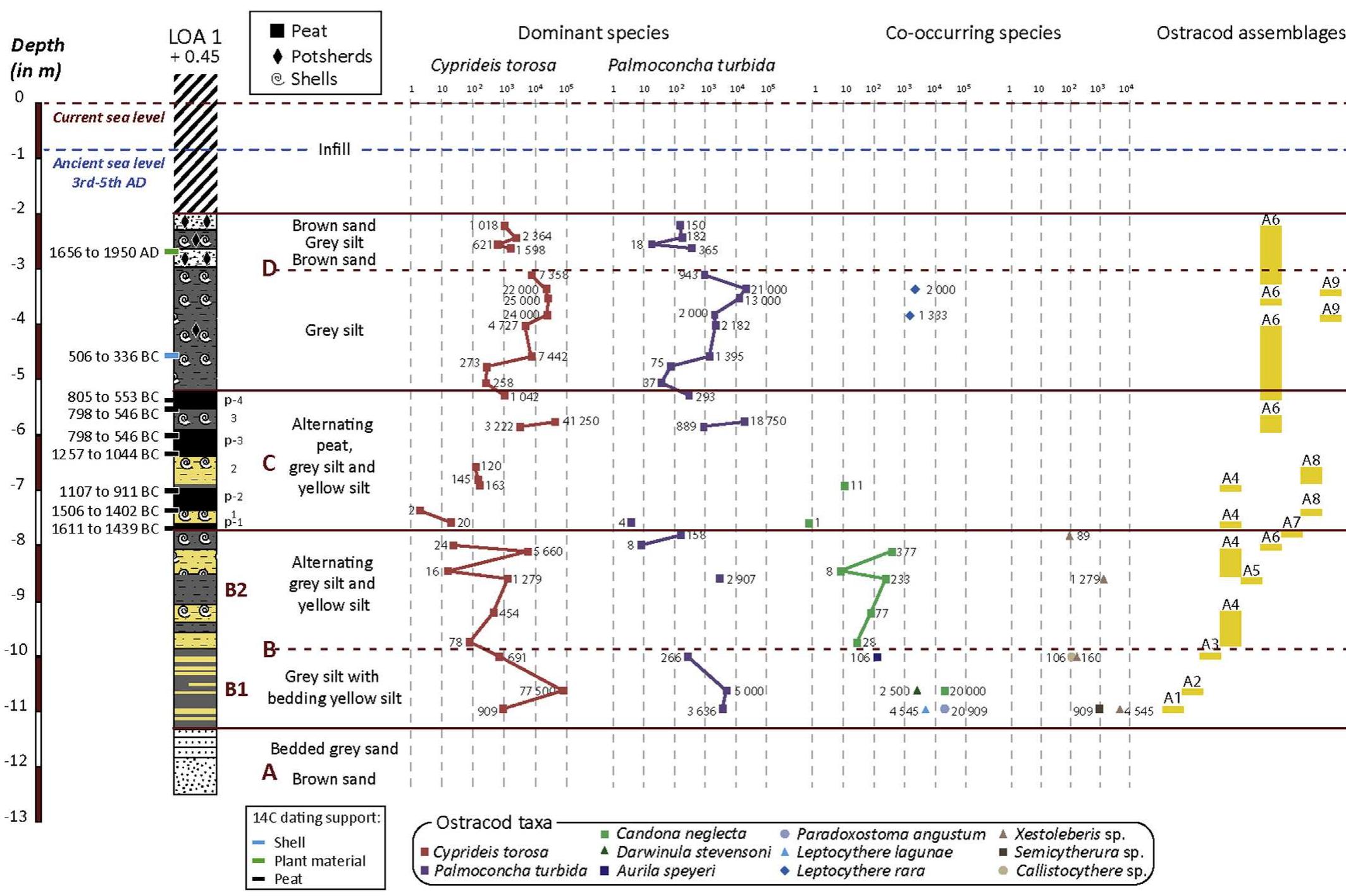 Graphical log of core loa1: sedimentological features,