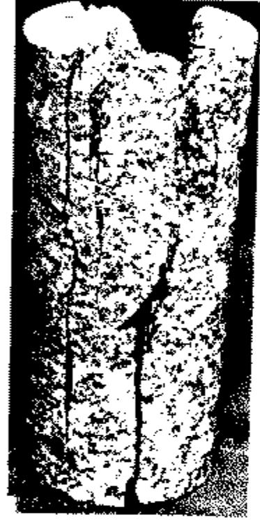 Altthongh longitudinal splitting of test specimens has long