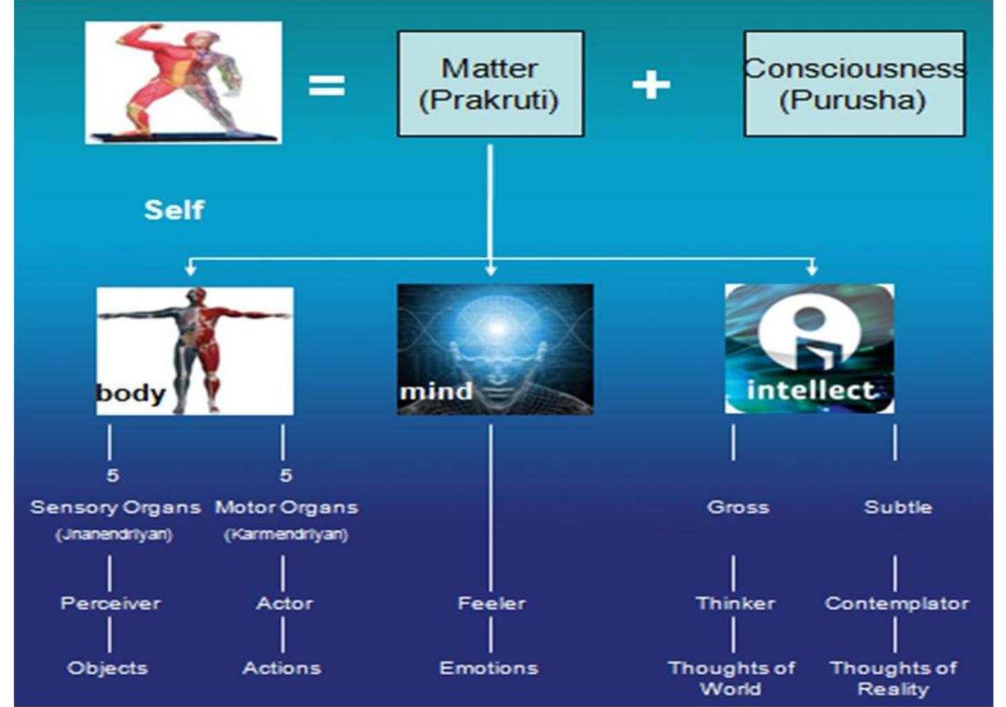Bio subtle anatomy of human body