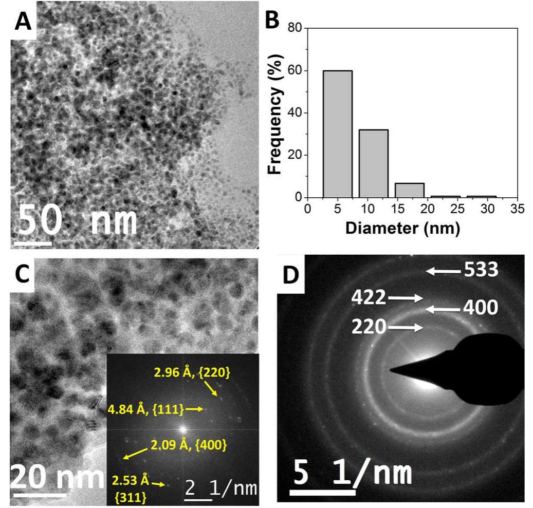 (a) typical tem image of pu sample. (b) size distribution of
